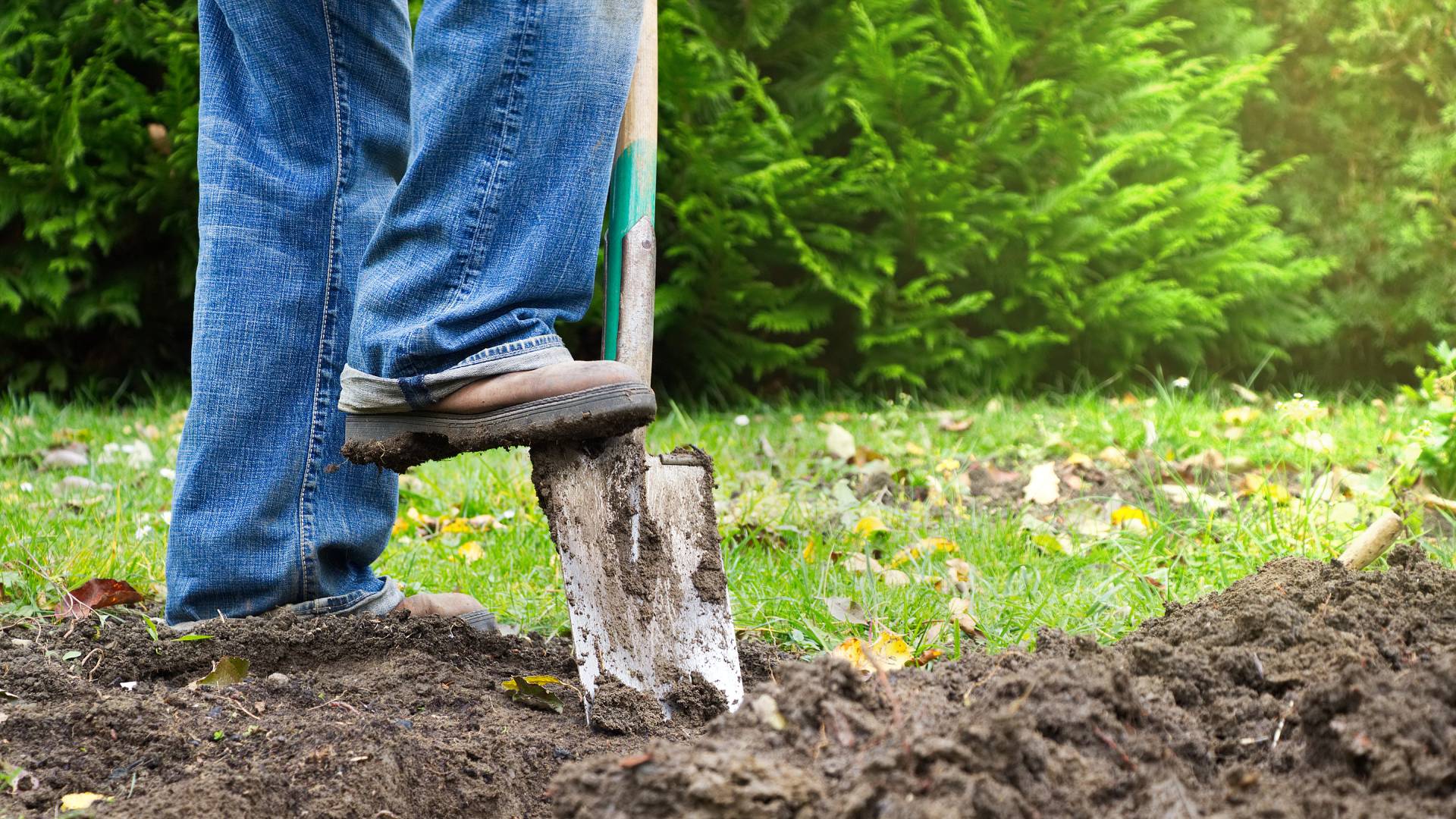 Veilig graven in de tuin | Enexis Netbeheer | Enexis Netbeheer